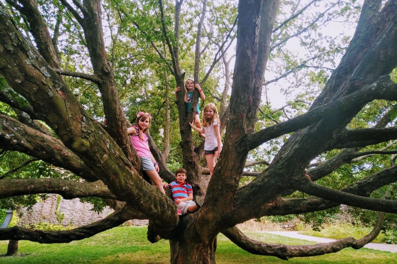 Family Day Out Ideas